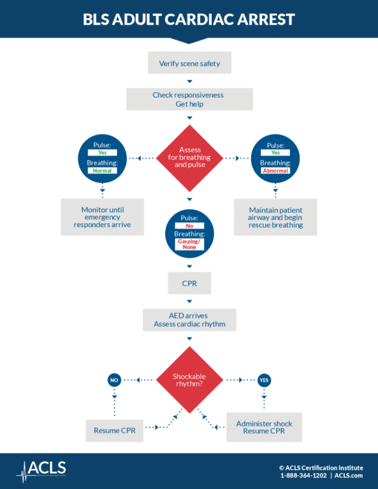 BLS Adult Cardiac Arrest Algorithm | ACLS.com