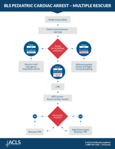BLS Pediatric Cardiac Arrest Algorithm – Multi Rescuer