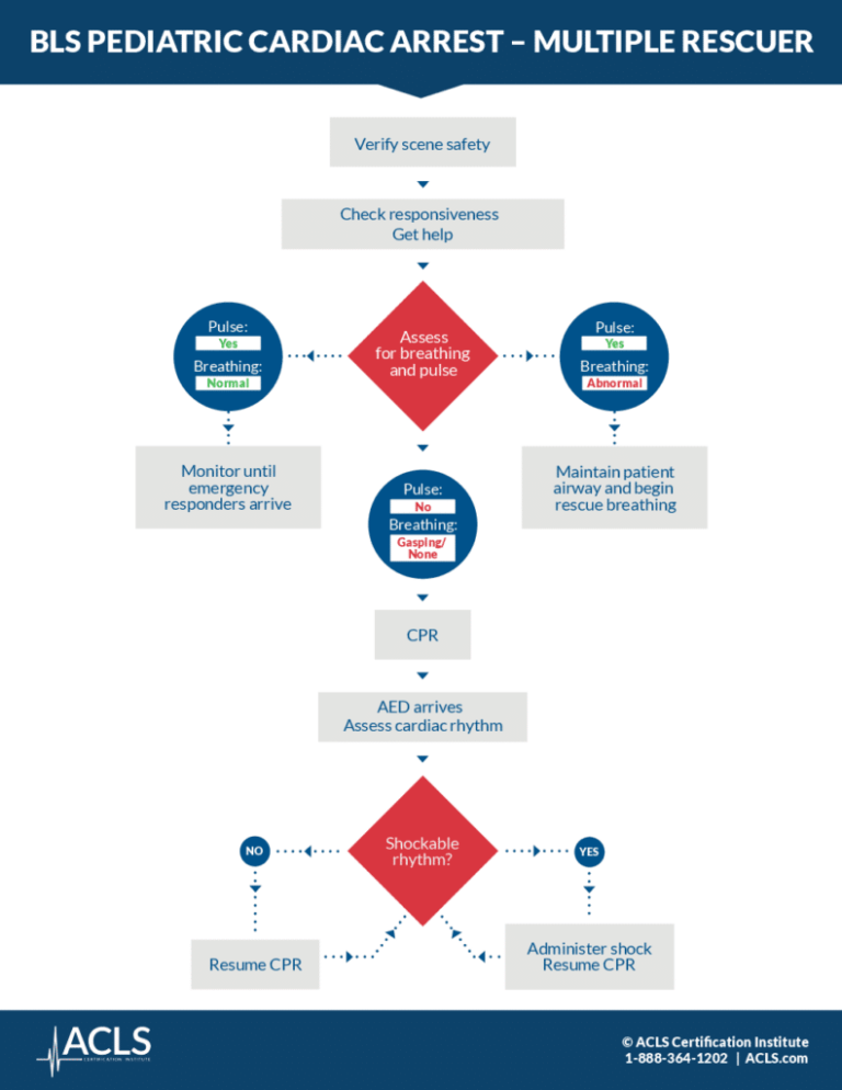 BLS Pediatric Cardiac Arrest Algorithm – Multi Rescuer