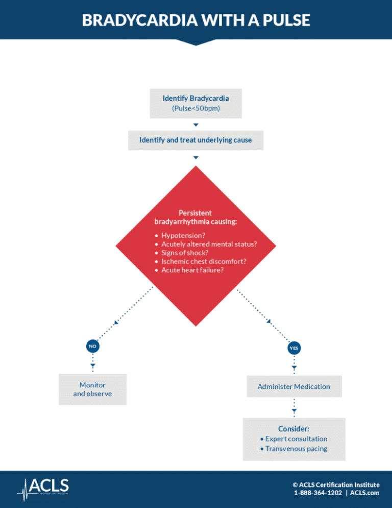Bradycardia with a Pulse Algorithm - ACLS.com
