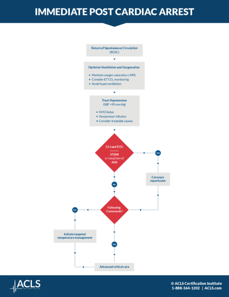 Immediate Post-Cardiac Arrest Care Algorithm | ACLS.com